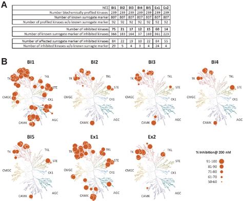 Kinase Selectivity A Each Compound Was Profiled Against A Panel Of