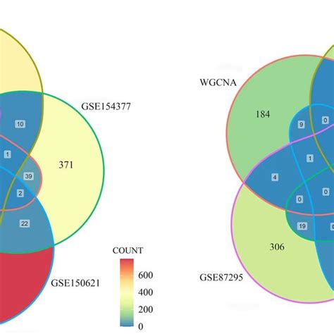 The Venn Diagram Of Upregulated And Downregulated Genes In Different