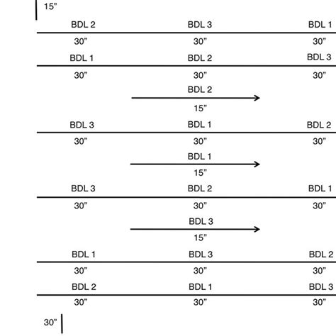 Overview Of The Succession Of The Different BDLs In The Musical Stimulus Download Scientific