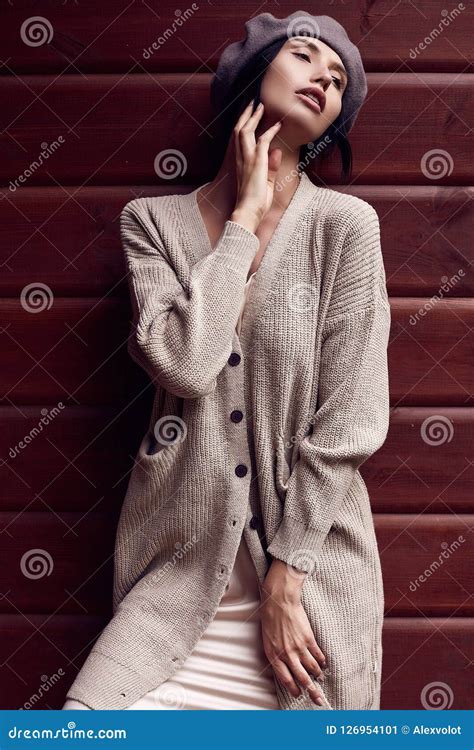 Gorgeous Brunette Woman In Fashion Classic Dress Stock Image Image Of