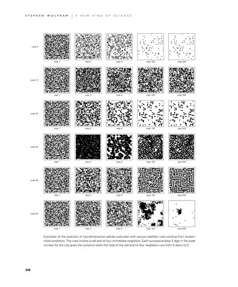 Four Classes Of Behavior A New Kind Of Science Online By Stephen