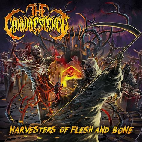 The Convalescence Experiment Complete Lyrics Genius Lyrics