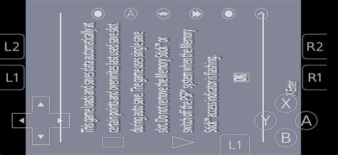 Libretro Screen Orientation Causing Image Rotated And Stretched In
