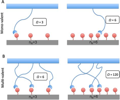 Figure 3 3 From Design Principles For Super Selectivity Using
