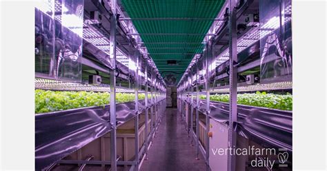 Innovations In 2d Root Phenotyping Uncover Genetic Keys To Enhanced