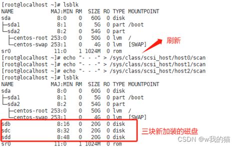 Lvm逻辑卷 Csdn博客