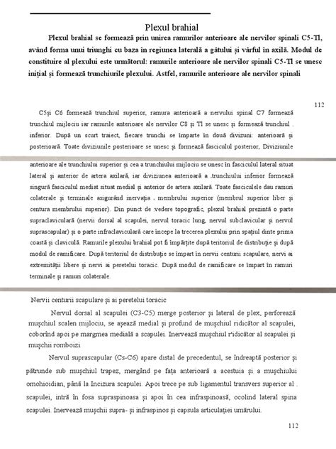 Plex Brahial Pdf
