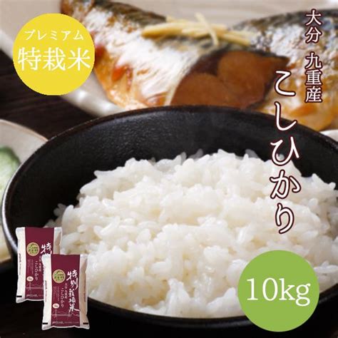 お米の銘柄カテゴリ