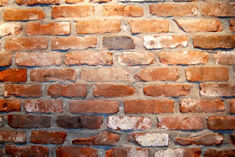 Brick Veneer For Interior Walls A Comprehensive Guide Interior Ideas
