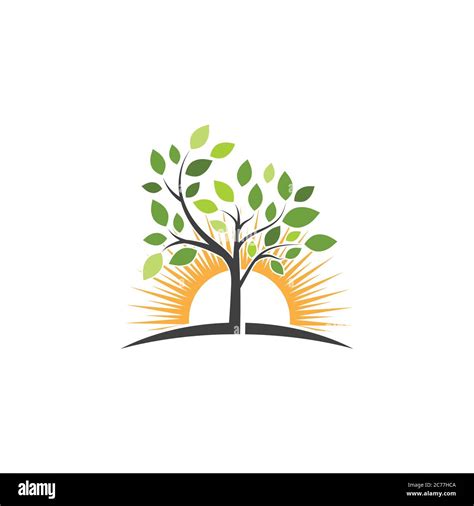Tree Branch Vector Illustration Design Template Stock Vector Image