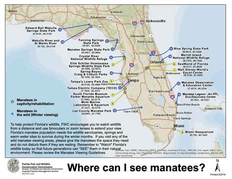 A Guide To Manatee Habitats River Ventures — River Ventures
