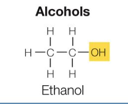 Ch 3 Functional Groups Flashcards Quizlet