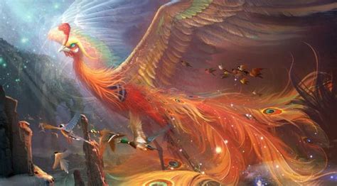 龙生九子，凤育九雏！有两个现在还真实活在世界上！ 五凤 凤凰 鸑鷟 新浪新闻