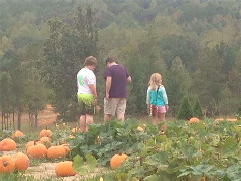 Lazy Acres Chunky Roadtrippers