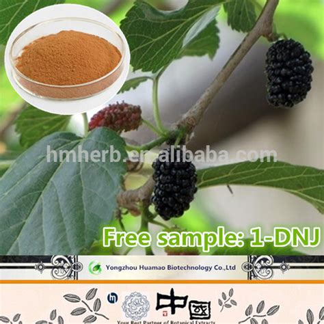 1 Dnj1 Deoxynojirimycin