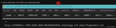 Web 信息收集travisyml泄露 Csdn博客
