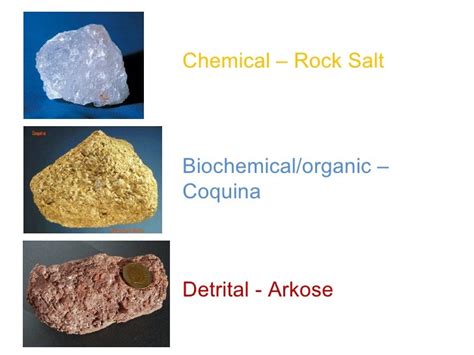 Sedimentary Rocks 1
