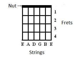 How To Read Chord Diagrams