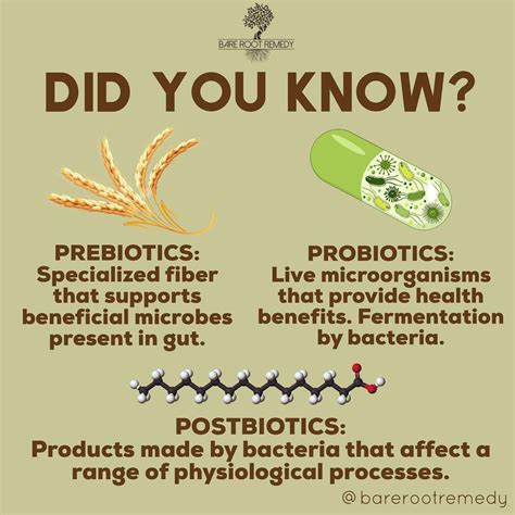 Bare Root Remedy On Instagram Did You Know The Difference Between
