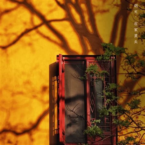 一日禅烟火在家里头 人生 家人 山丘