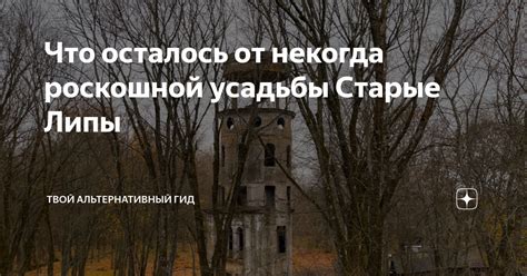 Что осталось от некогда роскошной усадьбы Старые Липы Твой альтернативный гид Дзен