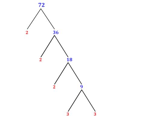 Prime Factorization Of 72 With A Factor Tree