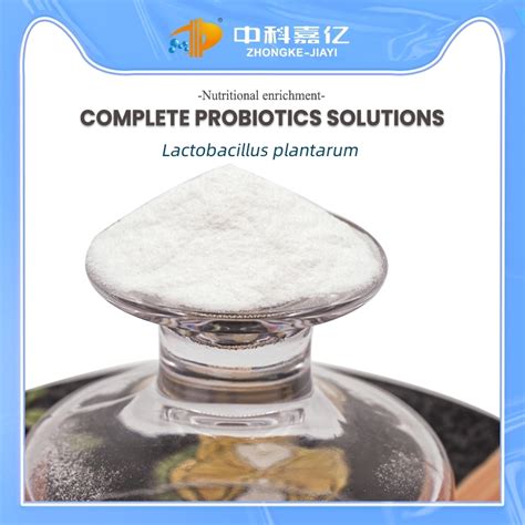 Wellness Ingredient With Food Grade Lactobacillus Plantarum Probiotic