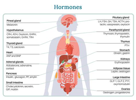 Hormonal Imbalance Symptoms And Treatments Whn