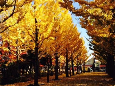 【茨城】つくば市で家族旅行やデートにぴったりの定番観光地5選 おすすめ旅行を探すならトラベルブックtravelbook