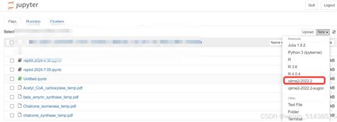 如何在超算计算节点使用jupyter Notebook 及如何添加r和conda 环境到jupyter Notebook超算 Notebook Csdn博客