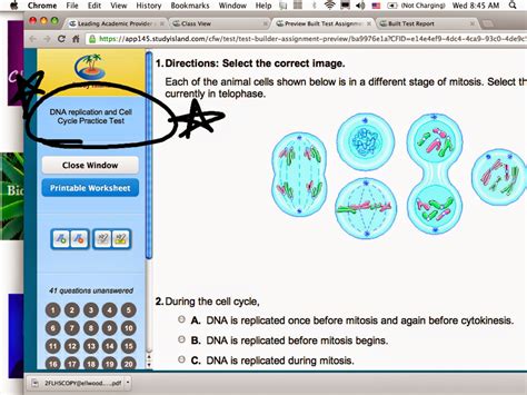 Ec Honors Biology Cell Cycle Cell Division Dna Replication Exam Review Sessions