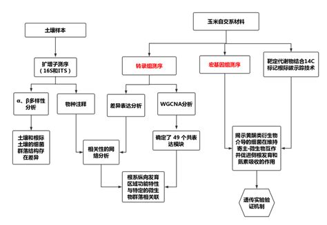 世界粮食日 读懂微生物、盐分、温度对粮食的影响机制，掌握粮食高产秘诀 知乎