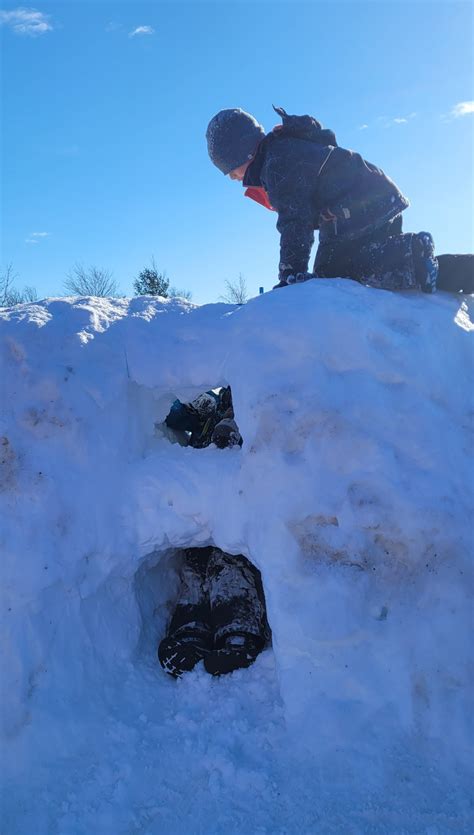 Snow Structures Pathways To Stewardship And Kinship