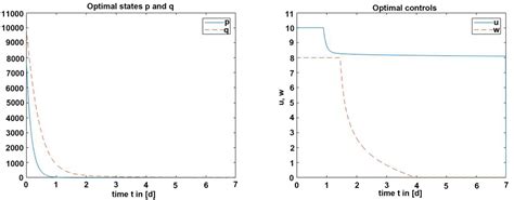 modeling and numerical solution of a cancer therapy optimal control problem