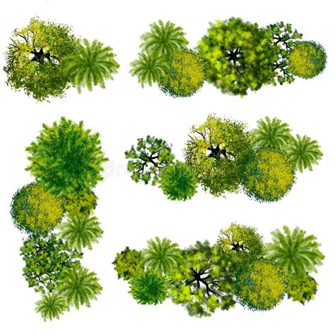 Abstract Green Tree Top View Collection Of Abstract Tree Top View Isolated On White Background