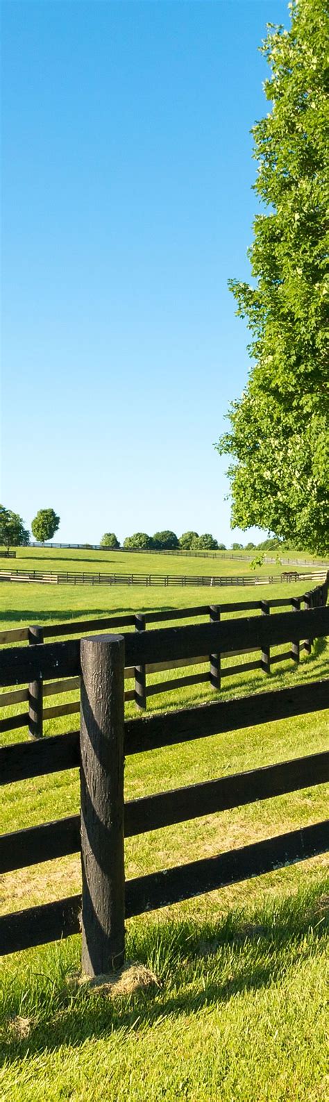 Farm Fences Wallpapers 4k Hd Farm Fences Backgrounds On Wallpaperbat