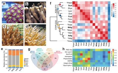 Interspecies Differences In The Transcriptome Response Of Corals To Acute Heat Stress [peerj]