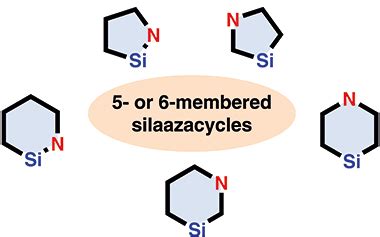 五元和六元硅氮杂环的合成方法 Synthesis X MOL