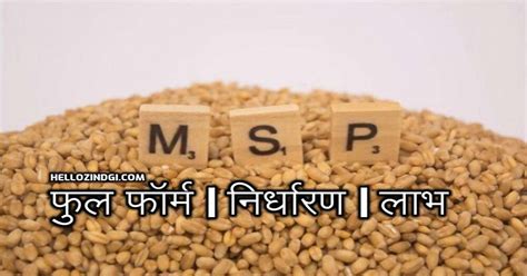 Msp Full Form In Hindi What Is Msp In Agriculture