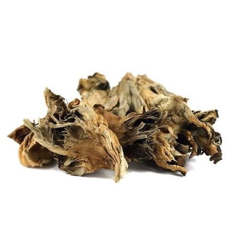 Earthy Delights Dried Hen Of The Woods Mushrooms Food For Thought