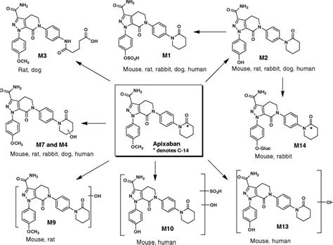 Apixaban And Impurities BOC Sciences