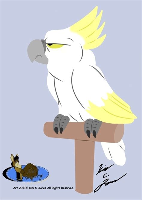 47 Best Images About Cockatoos On Pinterest Bird Prints Halloween