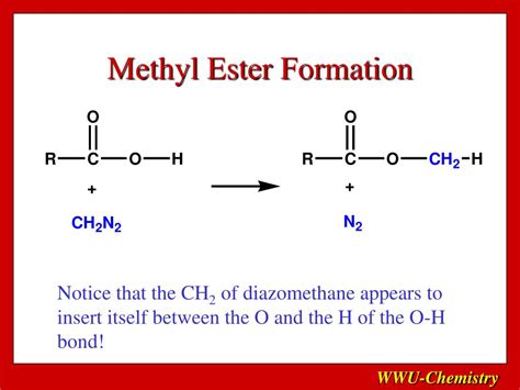 Ppt The Esters Powerpoint Presentation Free Download Id 1828351