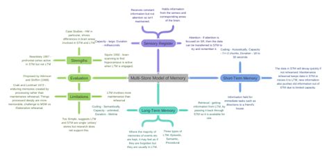 Multi Store Model Of Memory Coggle Diagram