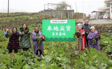 95后“头雁”领飞：助力高山蔬菜出山 引领乡村振兴红菜苔熊颖湖北人