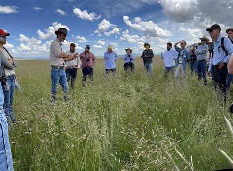 The Land Institute Transforming Agriculture Perennially — Central
