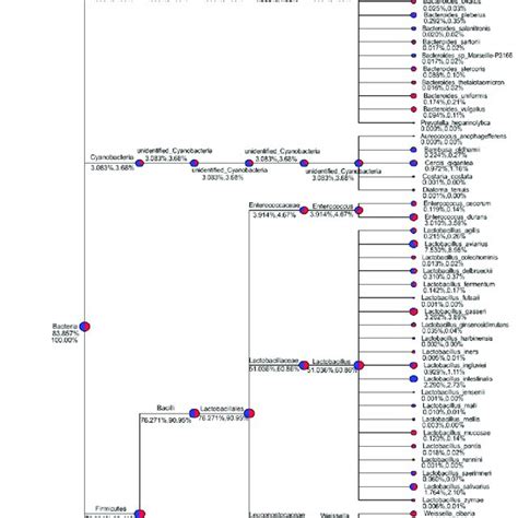 In Depth Comparative Analysis Of Genus With Phylogenetic Tree Each