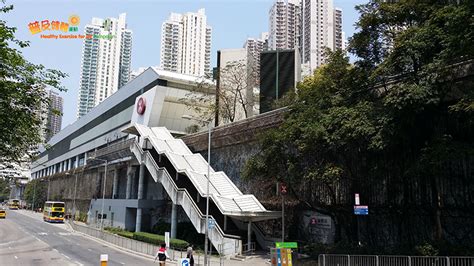 康樂及文化事務署 行山樂 C6 炮台山下有將軍