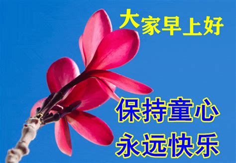 群里的早上好动态图片动态早上好带自动图片 伤感说说吧