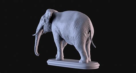 Asian Elephant 3d Model Turbosquid 2205826